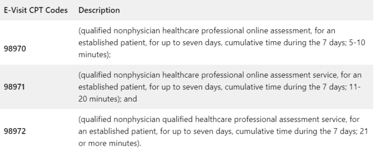Virtual E-Visit Documentation, Coding, and Billing Guide
